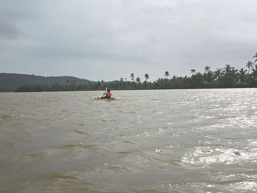 Goa: Backwater Kayaking Tour - Making the Most of Your Experience