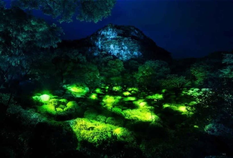 Goa: Bioluminescent Forest Night Trail with Guide - Key Points
