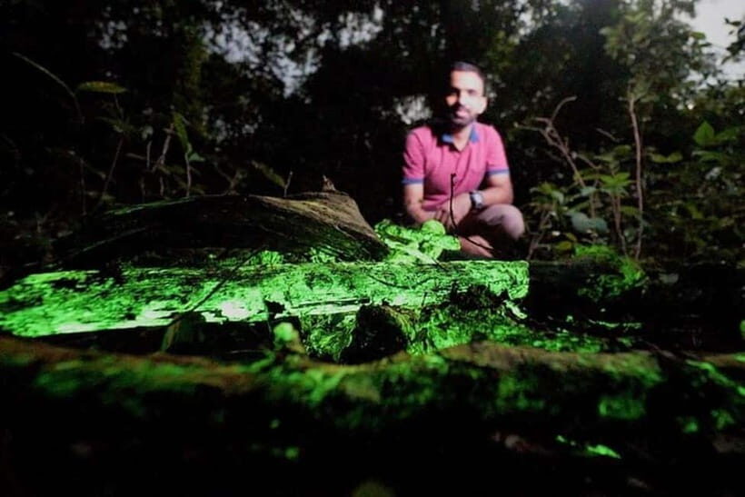 Goa: Bioluminescent Forest Night Trail with Guide - Discovering the Magic of Goa’s Bioluminescent Forest