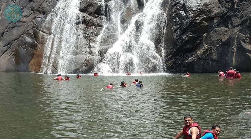 Goa: Dudhsagar Waterfall, Jeep Safari and Spice Plantation - Practical Tips for Travelers