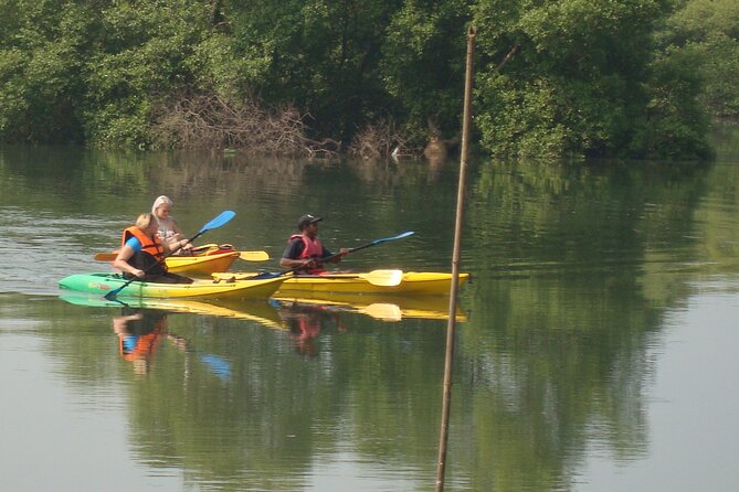 Goa Kayaking Spike's Salonia Backwaters Kayaking Experience - Who Will Love This Tour?