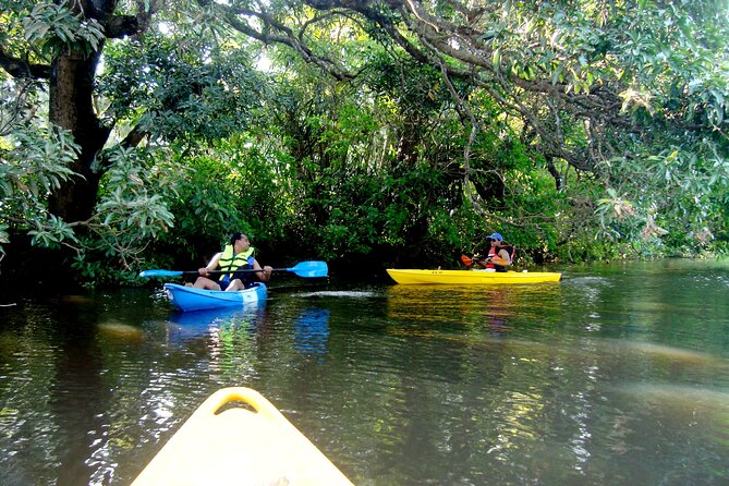 Goa Kayaking Spike's Salonia Backwaters Kayaking Experience - FAQs