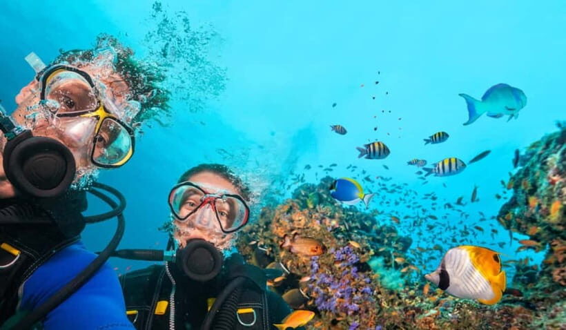 Goa: Scuba Diving Combo Package in Grand Island - Key Points