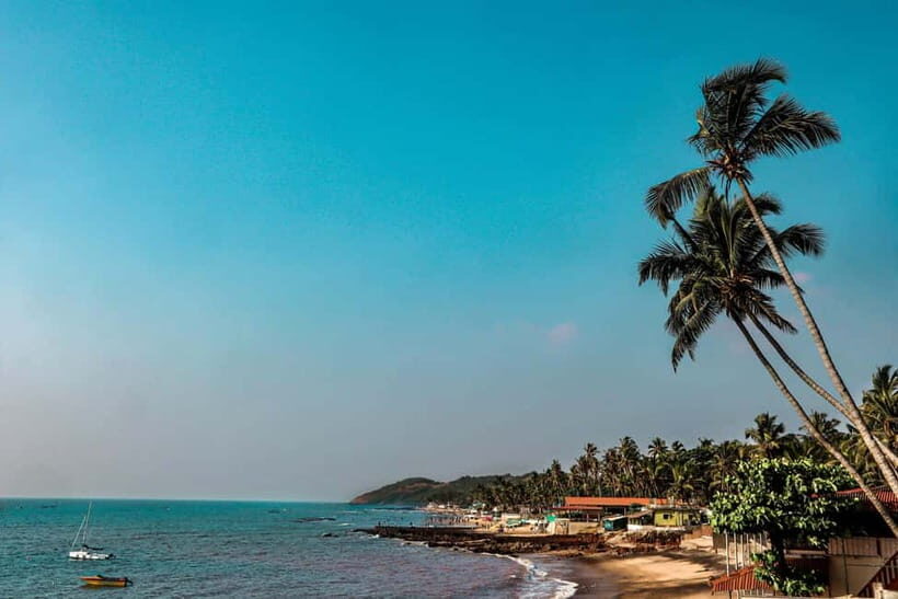Goa: SIC North Goa Sightseeing Tour - What to Expect from the Tour