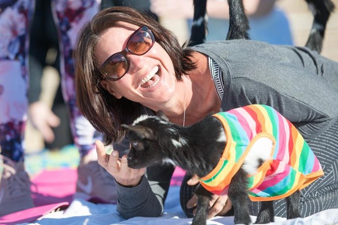 Goat and Alpaca Yoga in Arizona - An In-Depth Look at Goat and Alpaca Yoga in Arizona