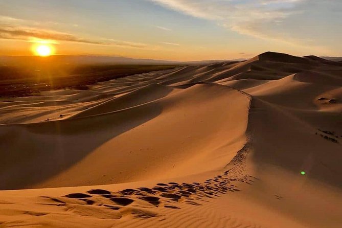 Gobi and Grassland Mongolia 7N8D - Practical Details That Matter