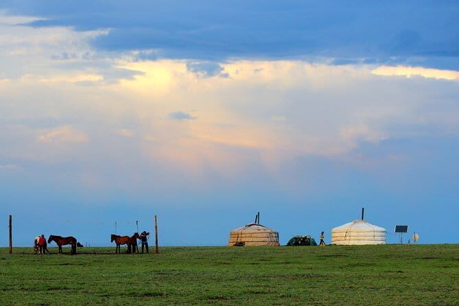 Gobi desert Mongolia for 8 days - Key Points