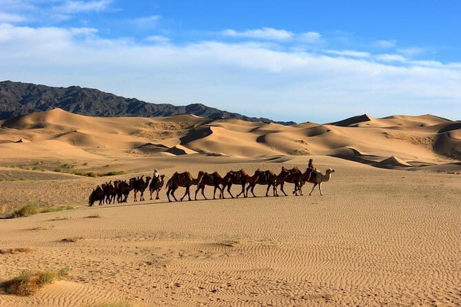 Gobi desert Mongolia for 8 days - Why This Tour Offers Real Value