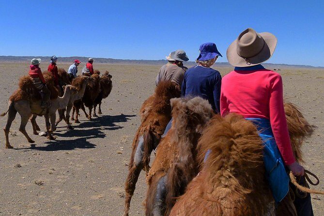 Gobi Tour May 2019 02-07 June - Transportation and Group Dynamics