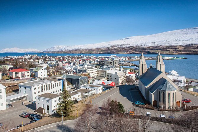 Goðafoss Waterfall From Akureyri Port - Highlights of Goðafoss Waterfall