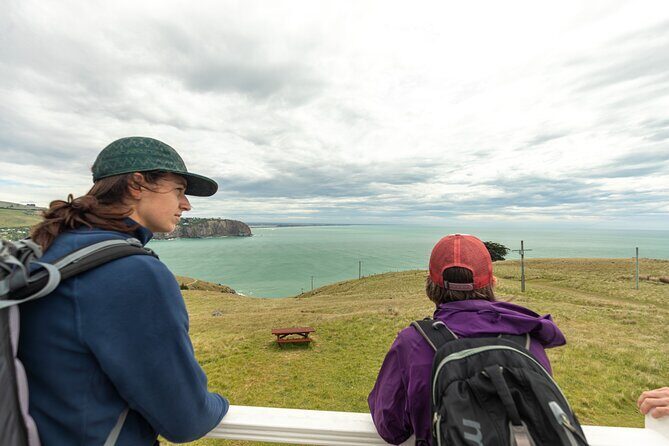Godley Head & Lyttelton Scenic Drive & Guided Walk (Private Tour) - Real Traveler Feedback