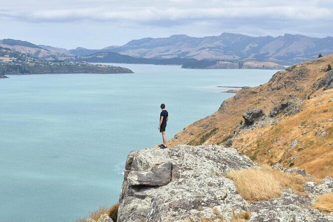 Godley Head & Lyttelton Scenic Drive & Guided Walk (Private Tour) - The Sum Up: Who Is This Tour Best For?