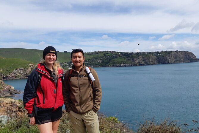 Godley Head Scenic Drive & Guided Walk (Shore Excursion) - The Sum Up