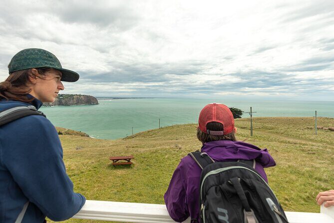 Godley Head Scenic Drive & Walking Tour (Private Shore Excursion) - The Sum Up