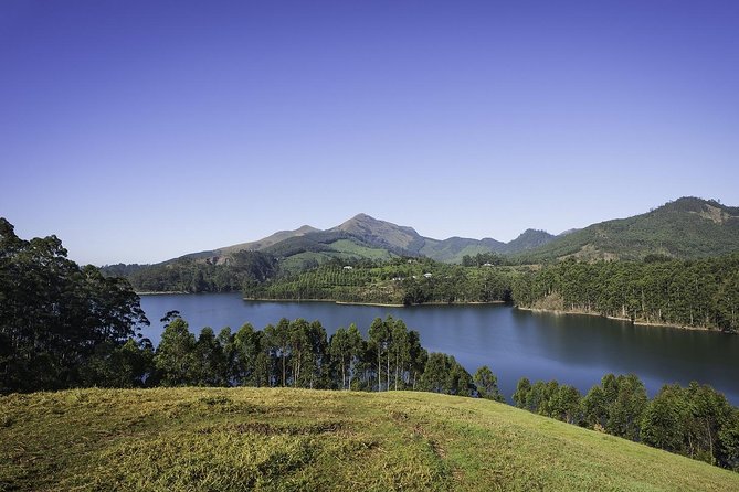 God's Own Country - KERALA (8 Days private trip) - Day 3: Exploring Munnar’s Green Tapestry