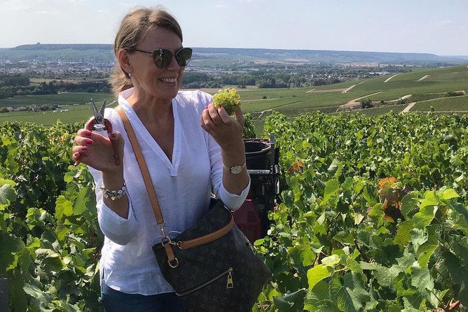 Gold Champagne Experience From Epernay (Private Full Day Tour) - Tour Schedule and Accessibility