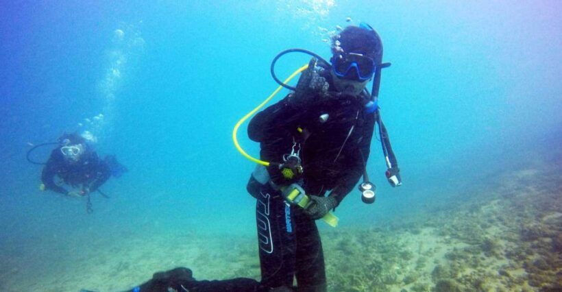 Gold Coast: 3-Day PADI Open Water Course - Day 2 & 3: Open Water Dives