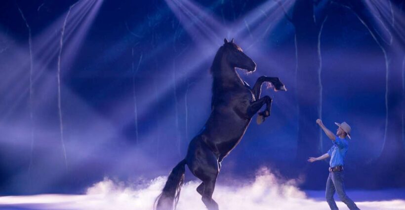 Gold Coast: Australian Outback Spectacular Dinner & Show - Introduction: What’s the Experience Like?