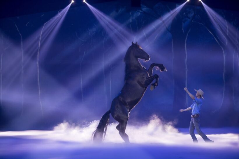 Gold Coast: Australian Outback Spectacular Dinner & Show - Pricing and Value Analysis