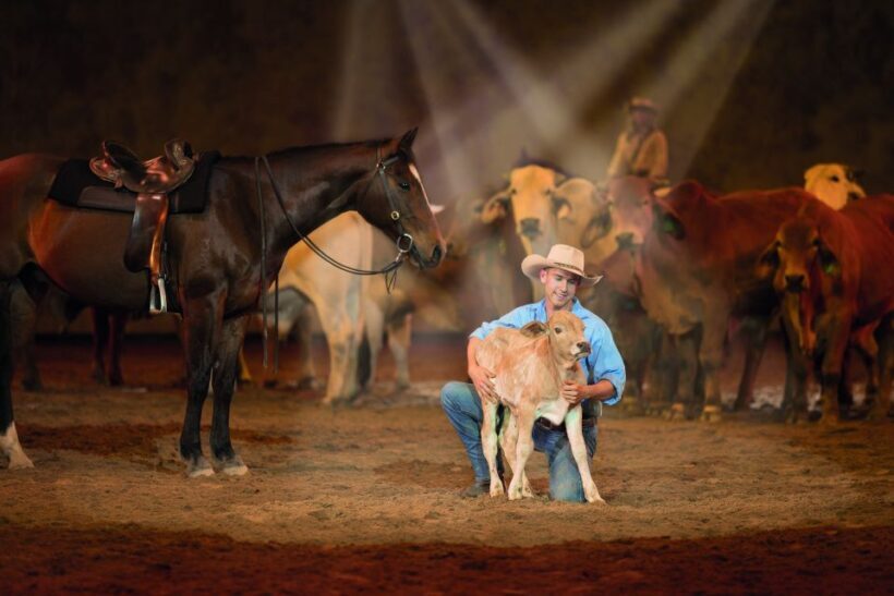 Gold Coast: Australian Outback Spectacular Dinner & Show - Final Thoughts