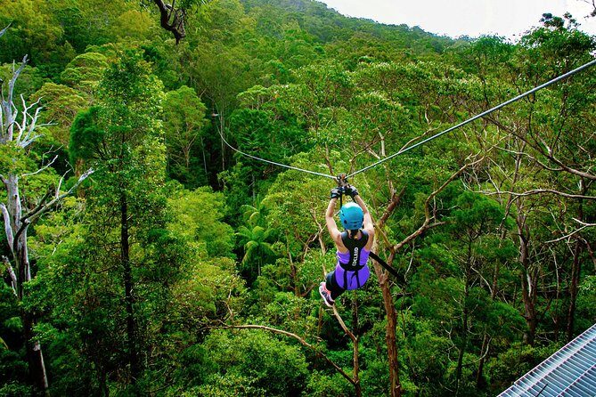 Gold Coast Canyon Flyer Zipline Tour - What Makes It Worthwhile?