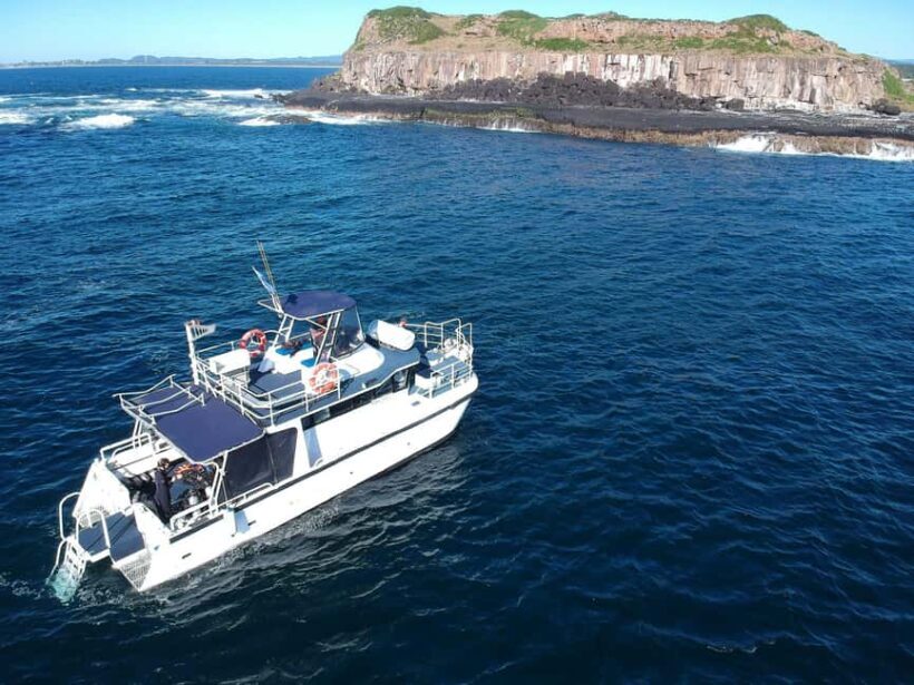 Gold Coast: Cook Island Marine Reserve Scuba Experience Dive - An In-Depth Look at the Tour