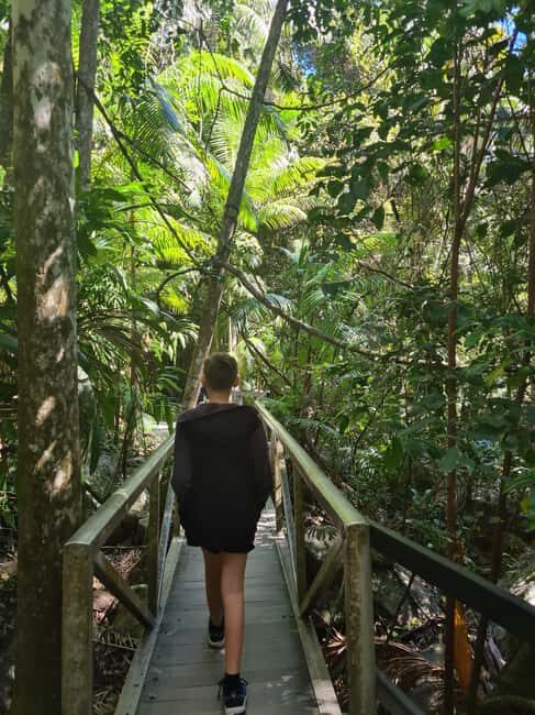 Gold Coast Departure : Explore Tamborine Mountain Day Tour - Final Thoughts: Who Will Love This Tour?