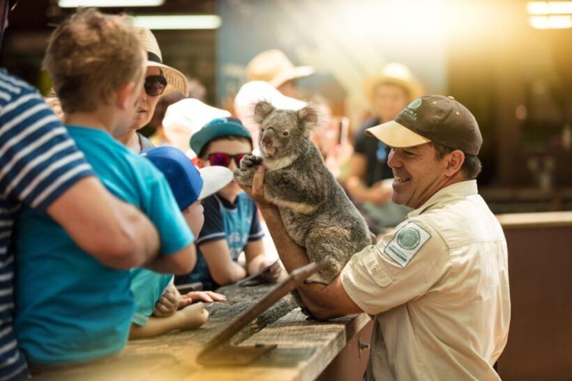 Gold Coast: Dreamworld 1-Day Entry Ticket - FAQ