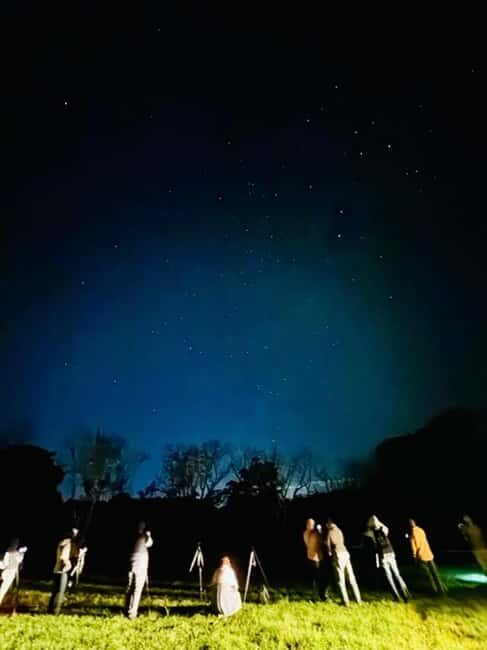 Gold Coast: Glow Worms, Sunset & Stargazing with BBQ dinner - The Value of the Experience