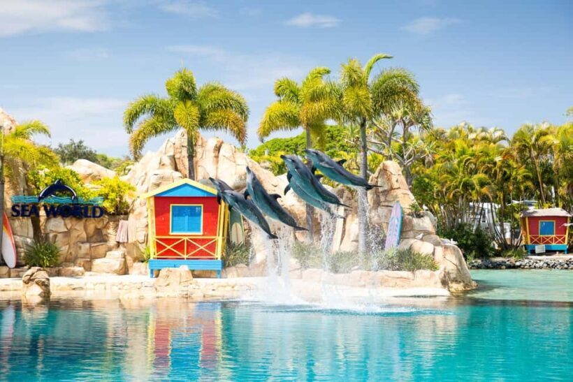 Gold Coast: Hopo Ferry & Sea World Entry Combo Ticket - The Value of This Combo Ticket