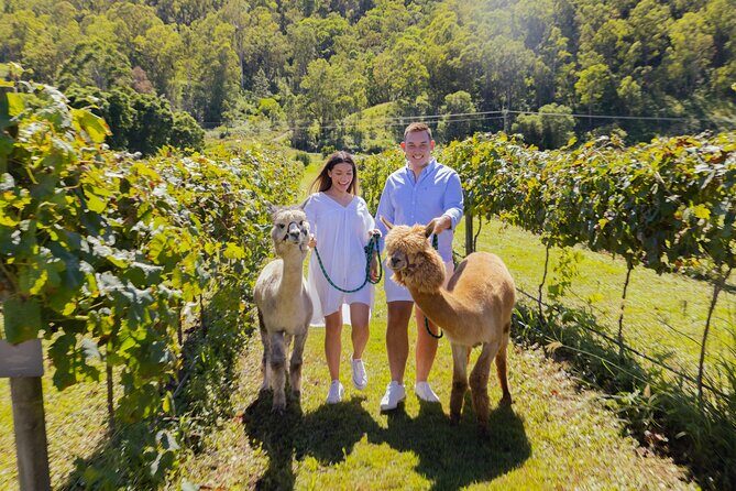 Gold Coast HotAir Balloon + Vineyard Breakfast + Transfers - Final Thoughts