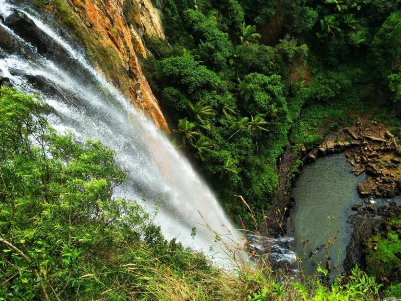 Gold Coast: Kangaroos, Rainforest & Waterfalls Experience - Detailed Breakdown of the Itinerary
