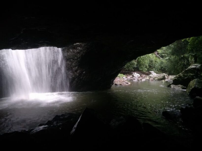 Gold Coast: Kangaroos, Rainforest & Waterfalls Experience - Practical Tips for Travelers