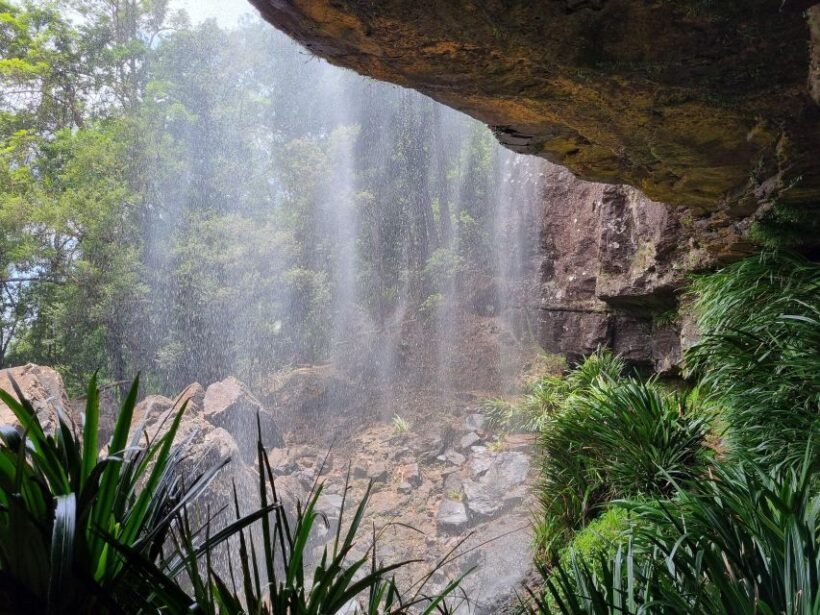 Gold Coast: Kangaroos, Rainforest & Waterfalls Experience - FAQ