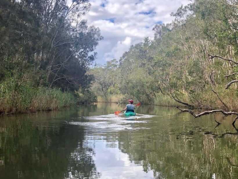 Gold Coast: Kayak Fishing Adventure - Key Points