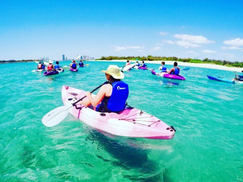 Gold Coast: Kayaking and Snorkeling Guided Tour - An In-Depth Look at the Gold Coast Kayaking and Snorkeling Tour