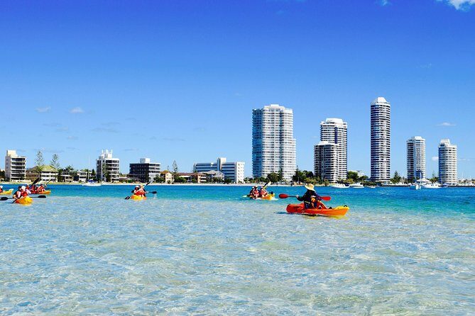 Gold Coast Kayaking & Snorkelling Tour (2.5 Hours) - Paddling and Wildlife Spotting