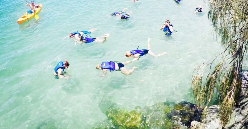 Gold Coast: Kayaking & Snorkelling Tour with Fish Feeding - Key Points