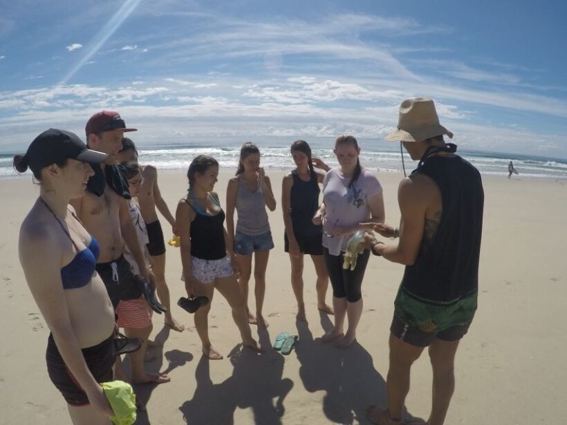 Gold Coast: Kayaking & Snorkelling Tour with Fish Feeding - What is the Gold Coast Kayaking & Snorkelling Tour?