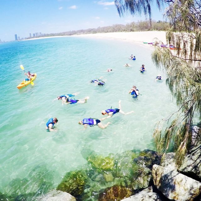 Gold Coast: Kayaking & Snorkelling Tour with Fish Feeding - What’s Included and What’s Not