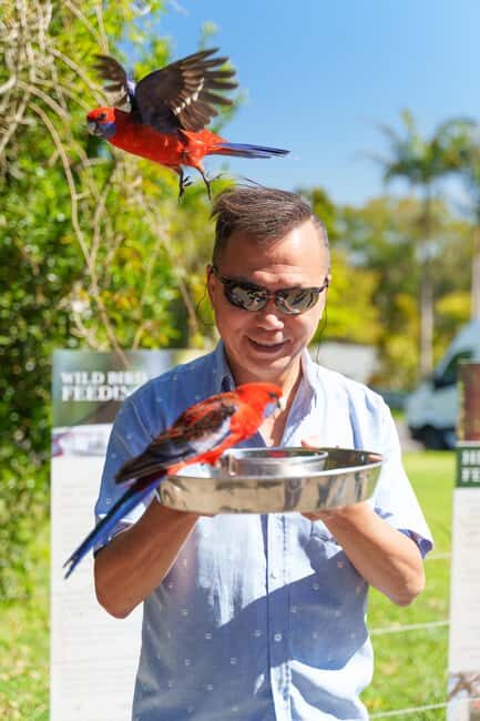 Gold Coast: Lamington Treetops, Wildlife and Vineyard Visit - Final Thoughts: Is It Worth It?