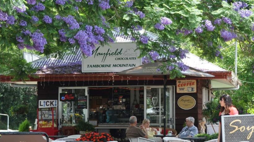 Gold Coast: Mount Tamborine Kangaroo and Koala Day Tour - FAQs