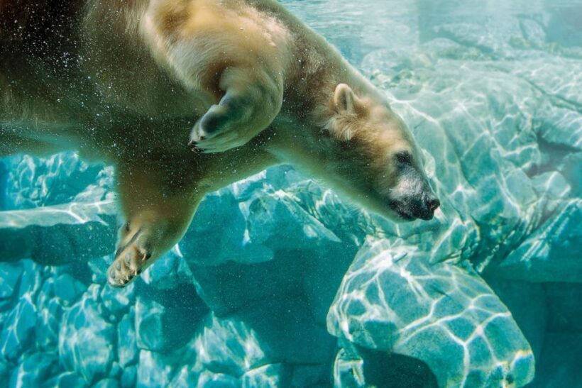 Gold Coast: Movie World, Sea World, Wet'n'Wild 14-Day Pass - Authentic Comments from Visitors