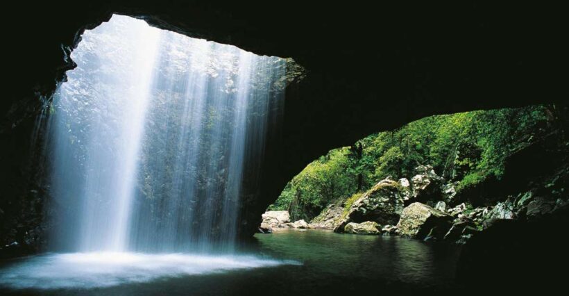 Gold Coast: Natural Bridge & Springbrook Waterfalls Tour - Key Points