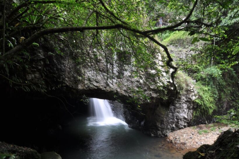 Gold Coast: Natural Bridge & Springbrook Waterfalls Tour - A Deep Dive into the Experience