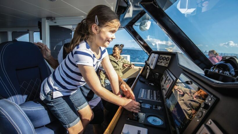 Gold Coast: Premium Whale Watching Cruise - The Itinerary and What You’ll See