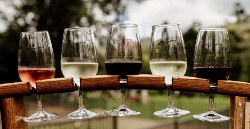 Gold Coast: Private Winery Tour in a New Luxury Vehicle - Who Is This Tour Best Suited For?