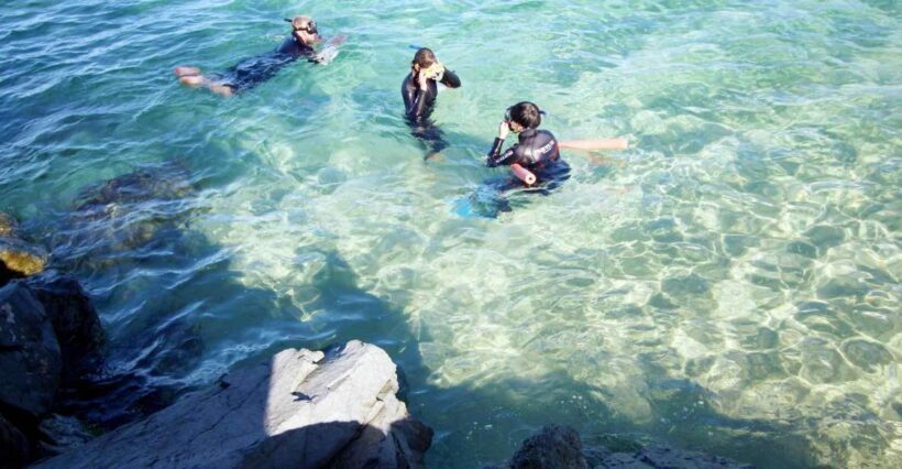 Gold Coast: Snorkelling in Wave Break Island - FAQ
