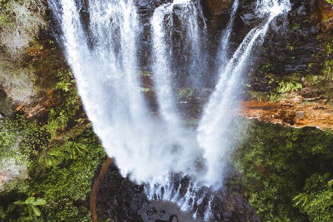 Gold Coast: Springbrook 7 Waterfalls and Natural Bridge Day Tour - Key Points