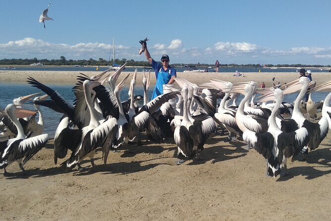 Gold Coast Surfer's Paradise Private Tour from Brisbane - Final Thoughts